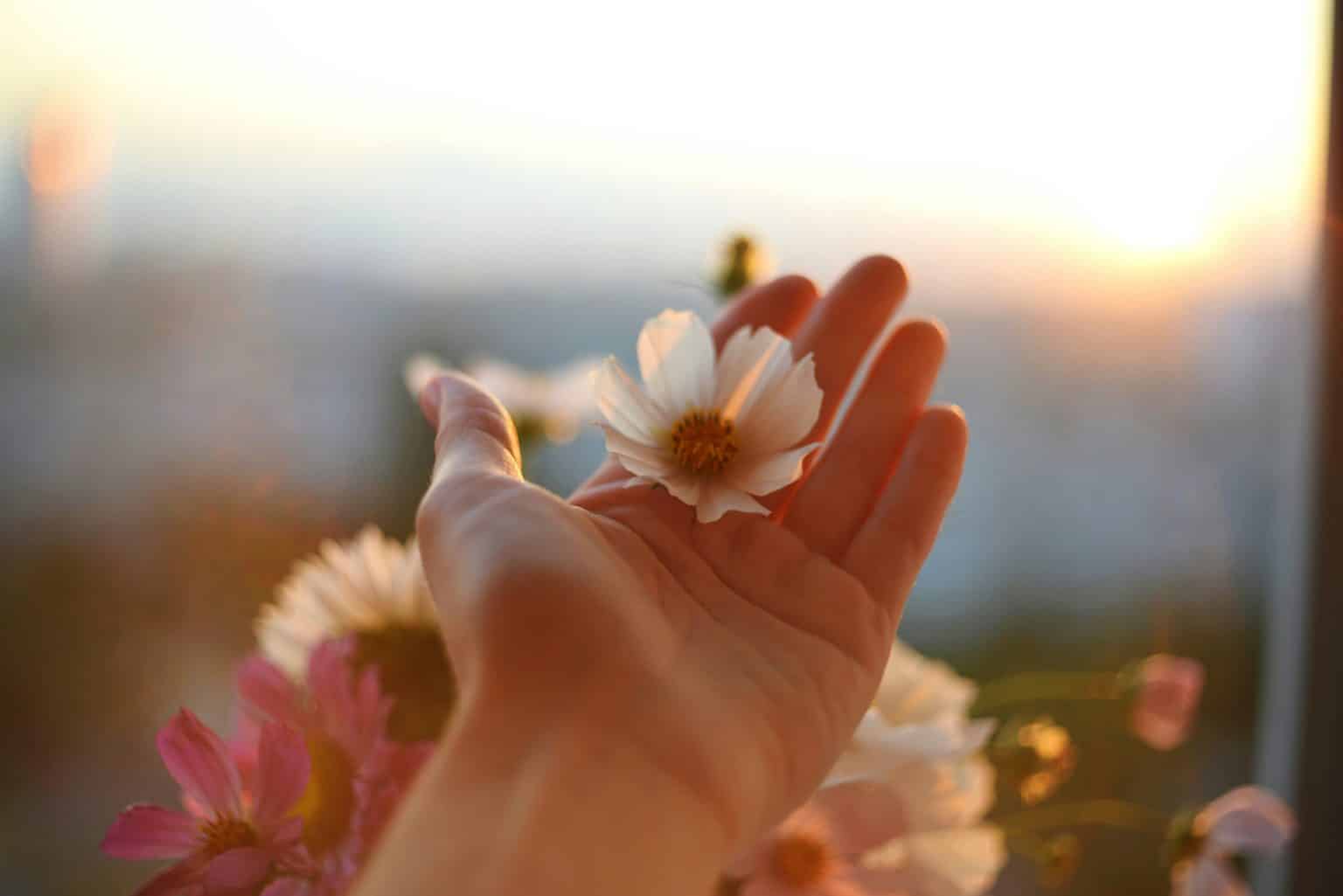 How to Practice Gratitude Daily - SharksMind